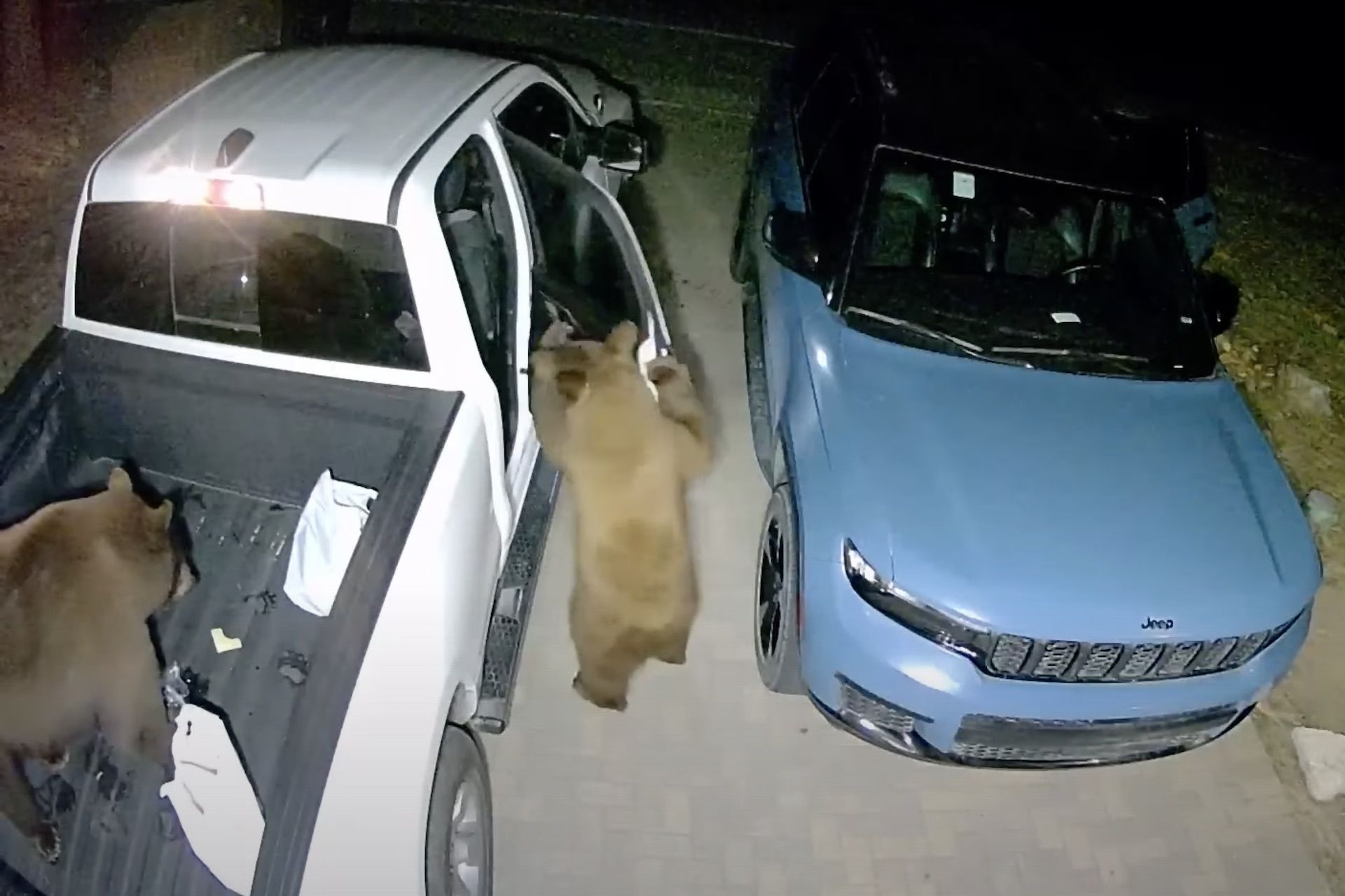 Yogi and Boo Boo Bear open car doors at Lake Tahoe | Driving