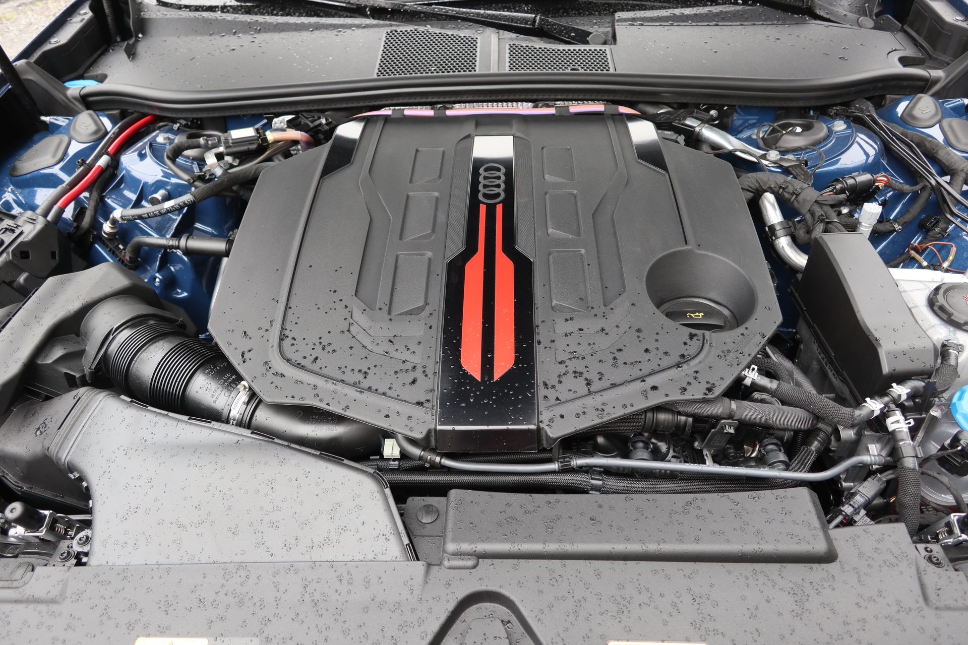 2025 Audi S5 Review - Reviews | Driving