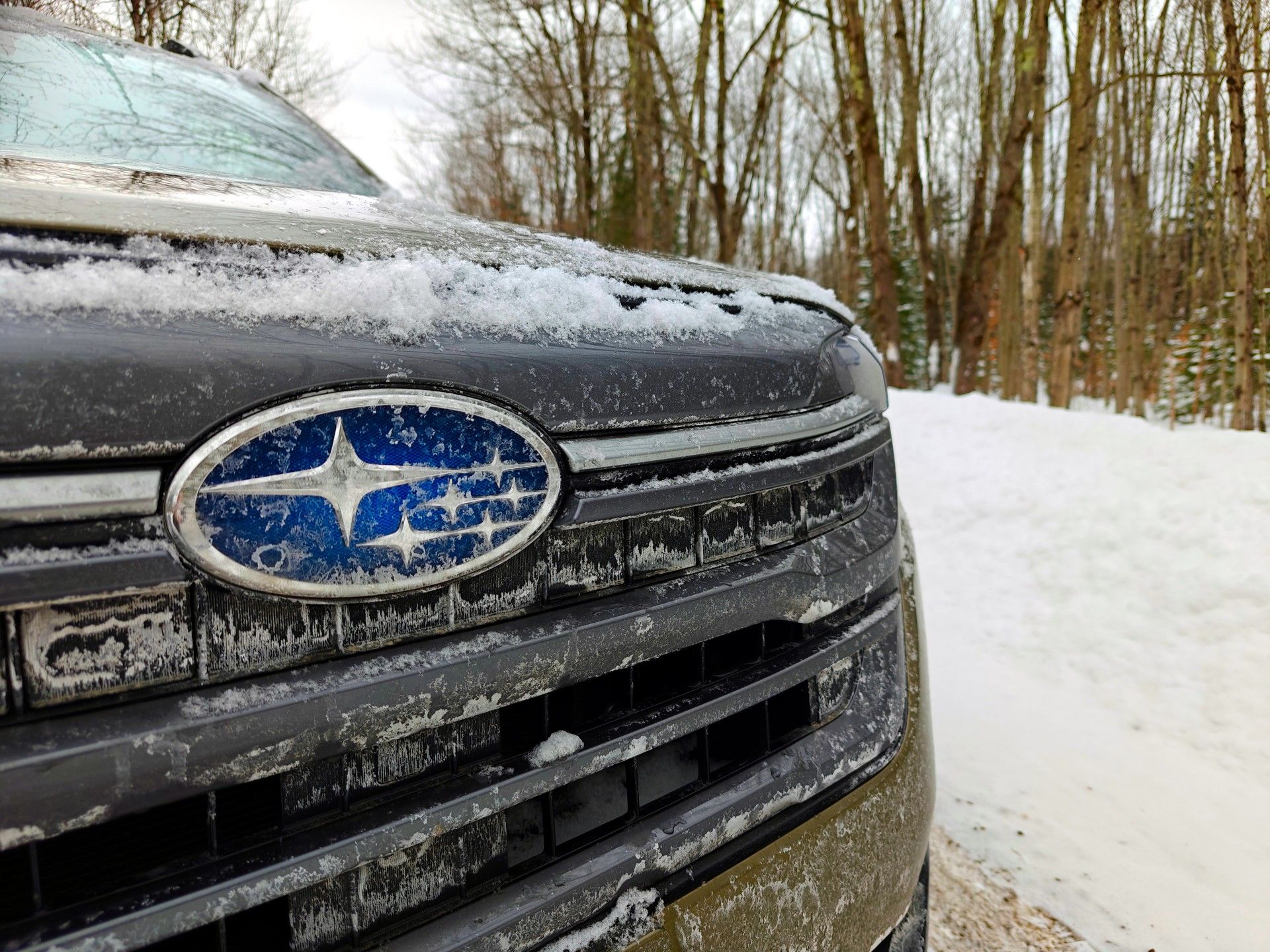 2025 Subaru Forester SUV Review - Reviews | Driving