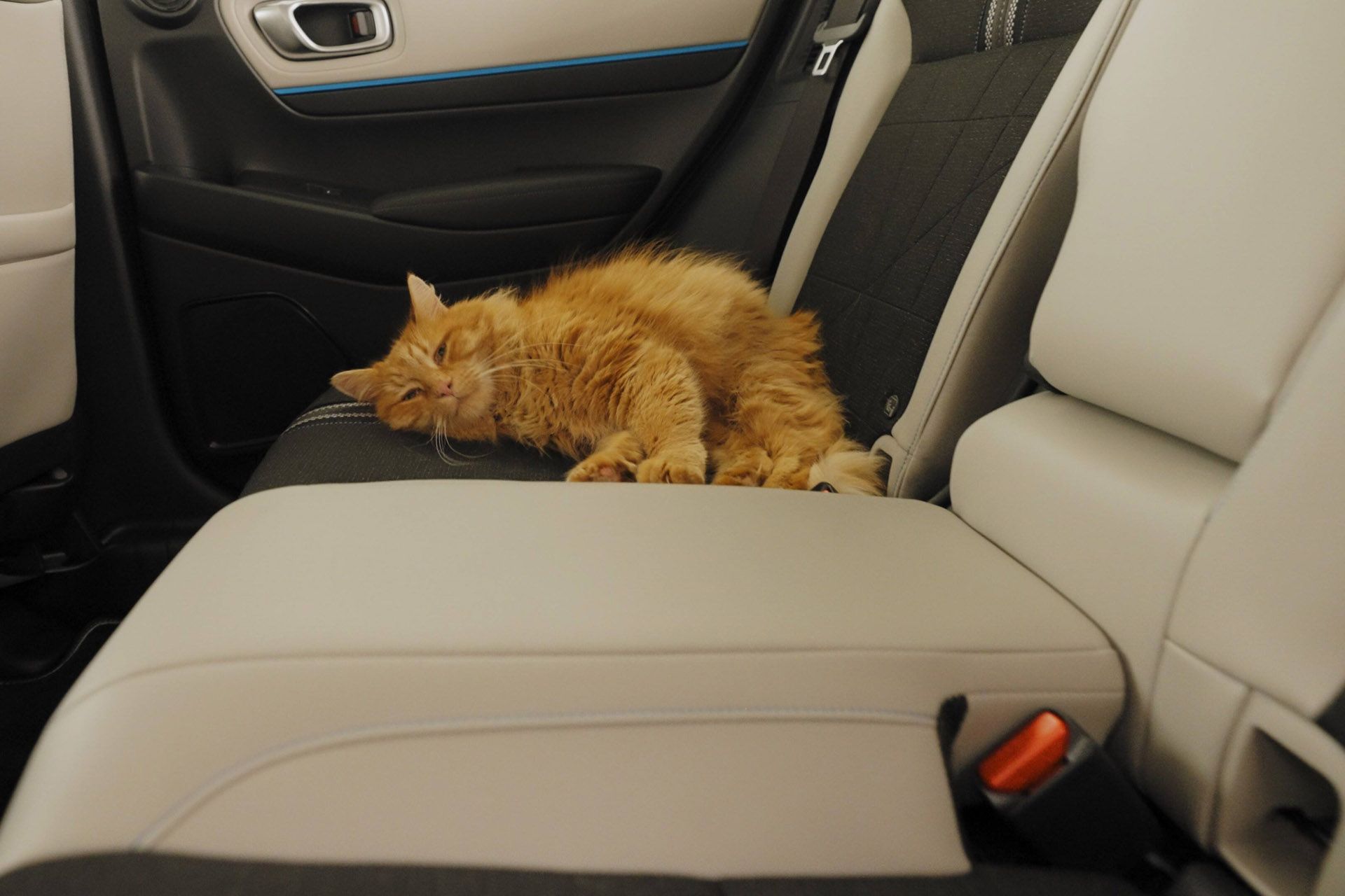 Automotive April Fools' 2025 headlined by hot BMWs, tattoo jokes | Driving