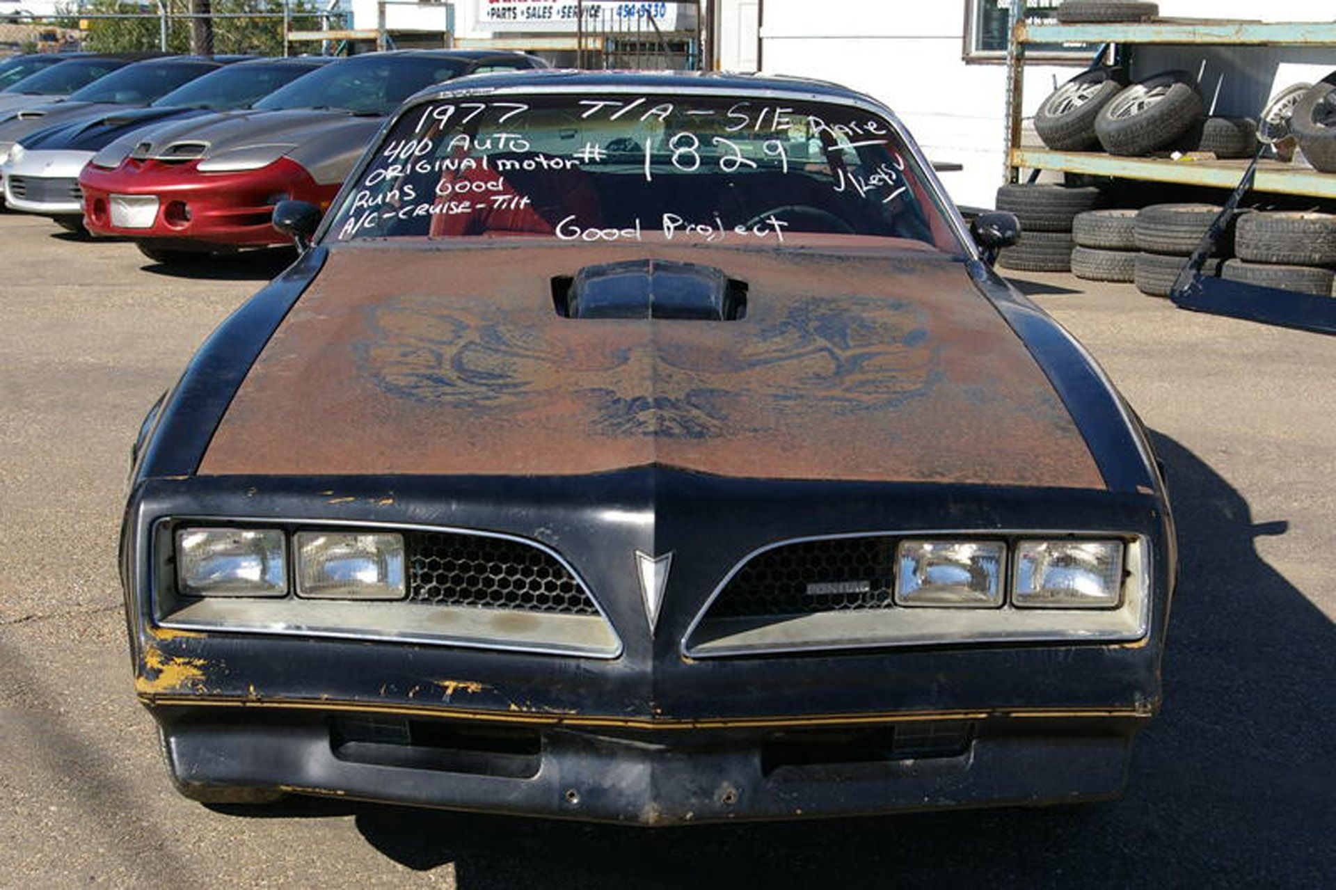 David T’s in Alberta is Camaro and Firebird heaven—and it’s for sale ...