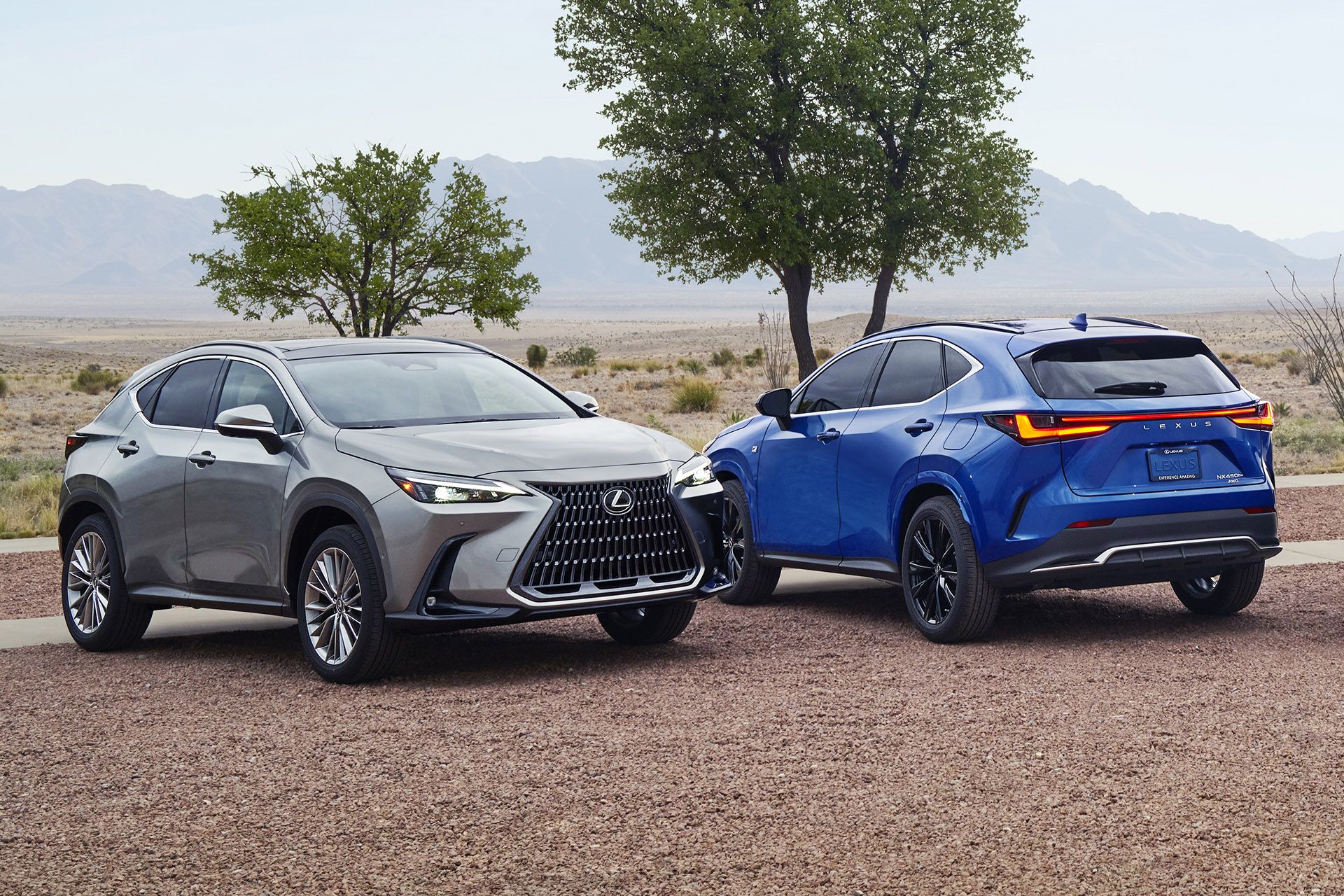 Lexus adds trims, announces pricing for popular 2026 NX | Driving