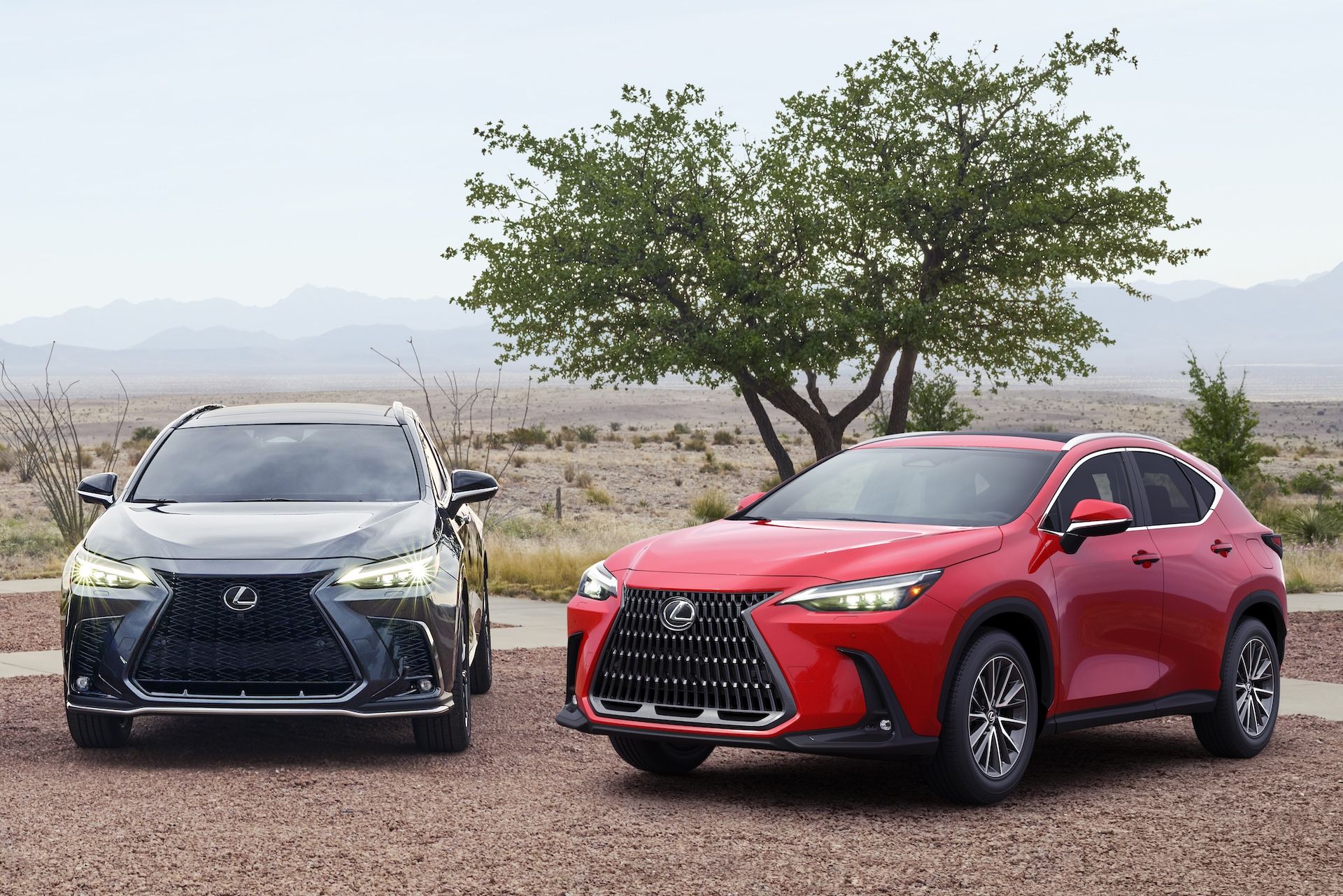 Lexus adds trims, announces pricing for popular 2026 NX | Driving