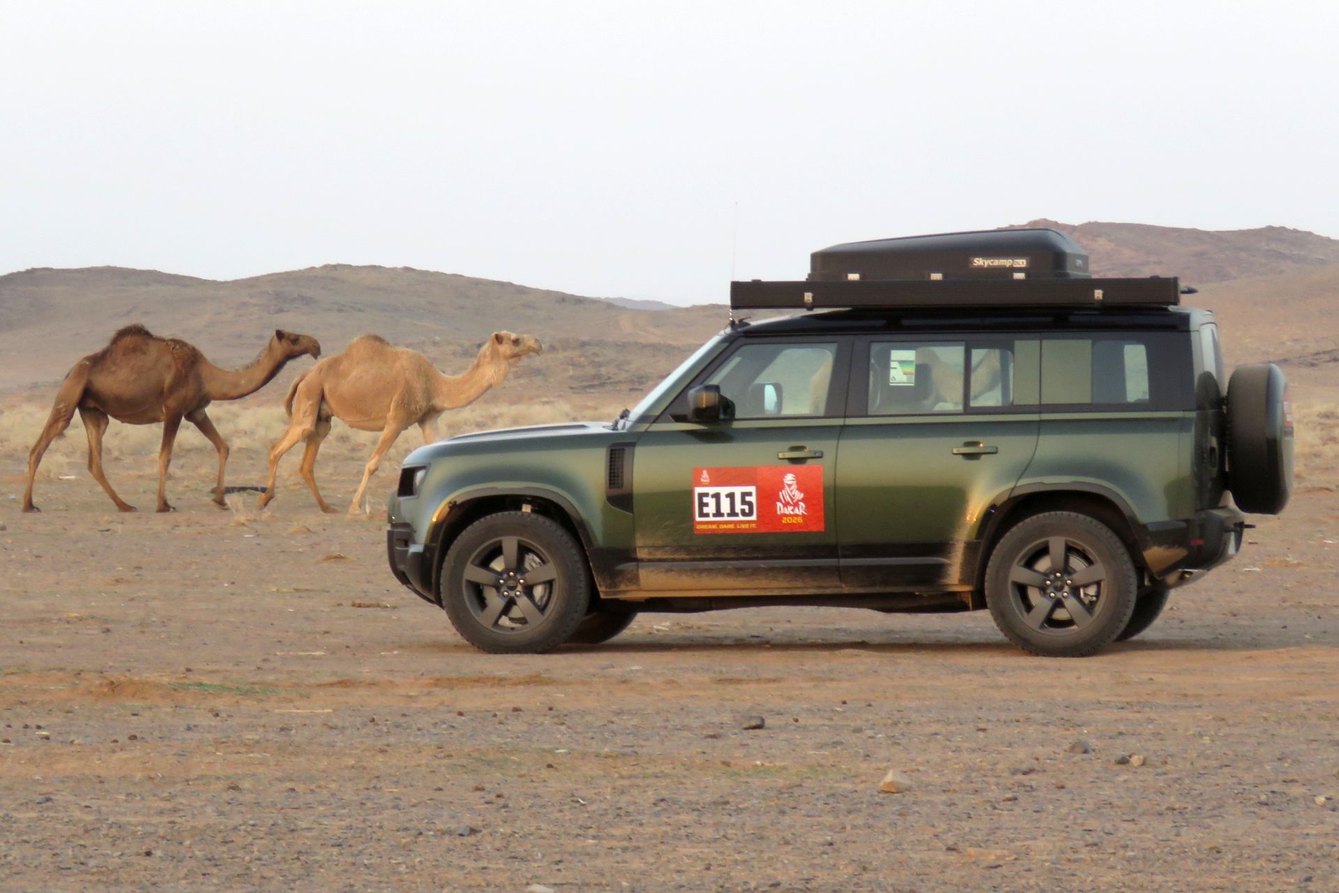 On the dunes of Saudi Arabia, women rally for opportunity | Driving