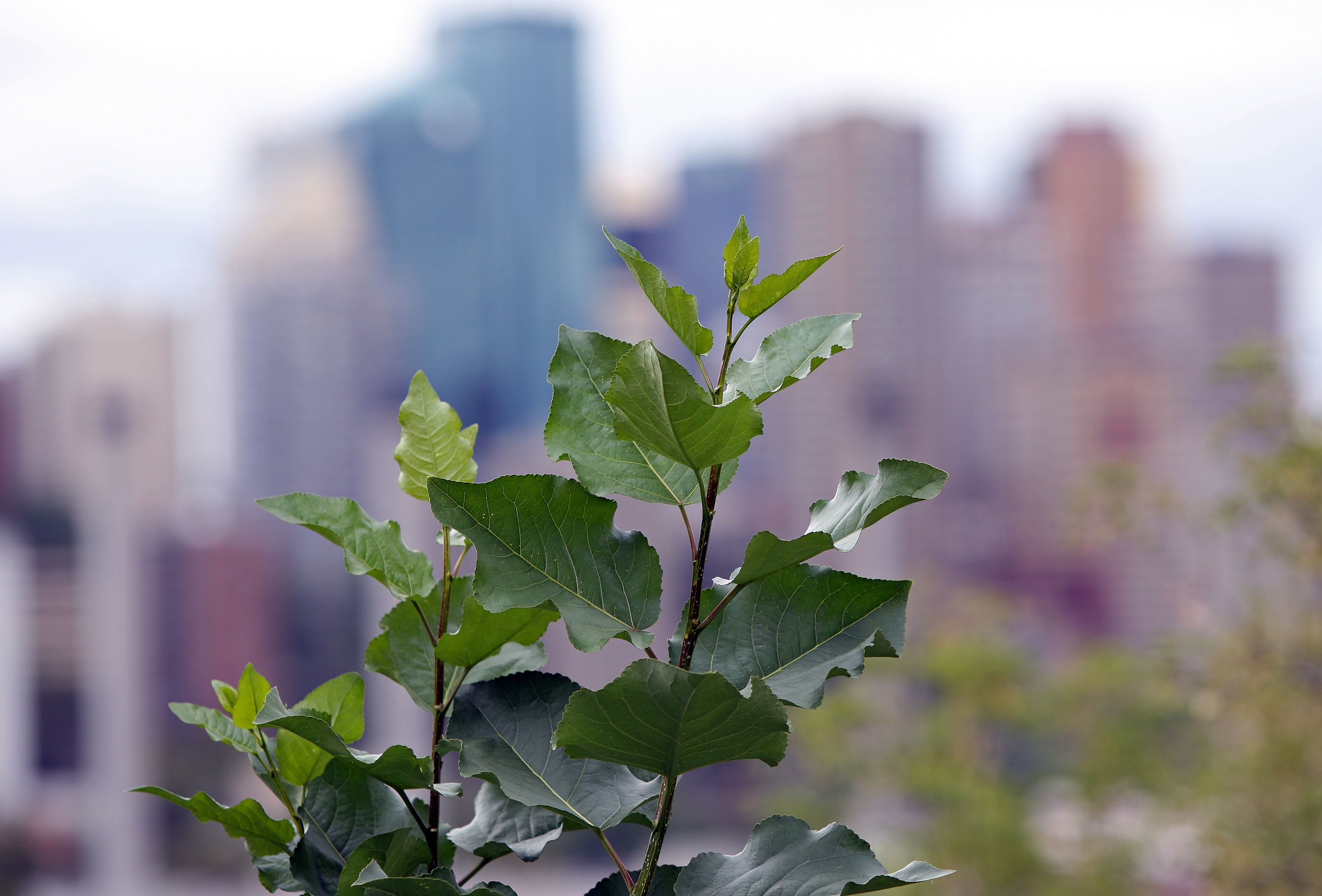 Edmonton Journal launches a new project called the Edmonton Experiment ...