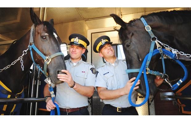 Video: Brothers saddle up for RCMP Musical Ride | Edmonton Journal