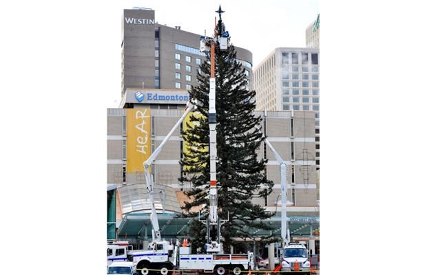 Dec. 19, 1955: 50-foot tree jams in bridge | Edmonton Journal