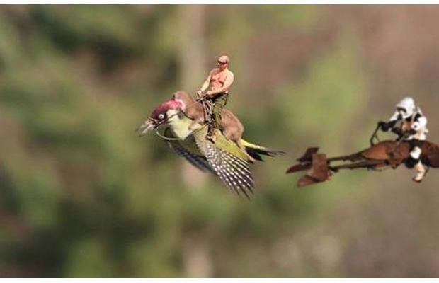 #WeaselPecker memes take flight after pictures of weasel riding a ...