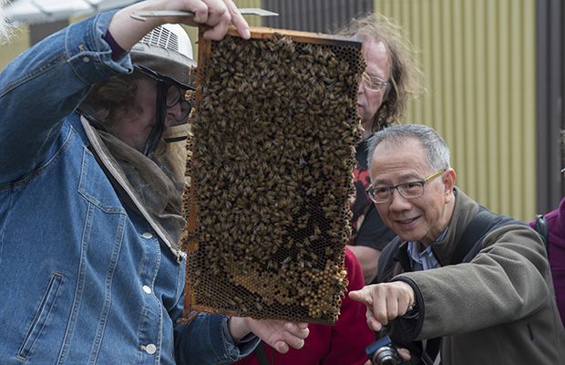 Video: Second year of production for Northlands Urban Farm | Edmonton ...