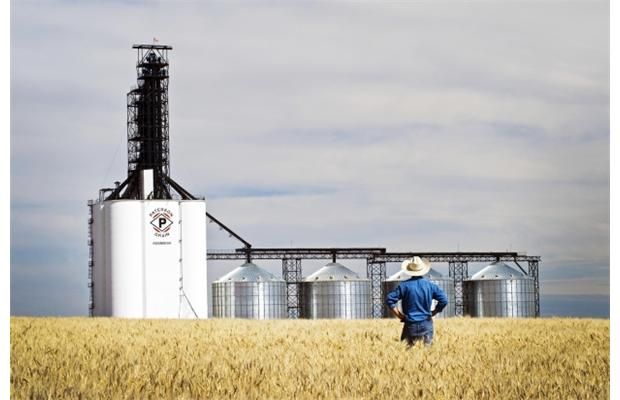 Speedy service promised for new Daysland grain terminal | Edmonton Journal