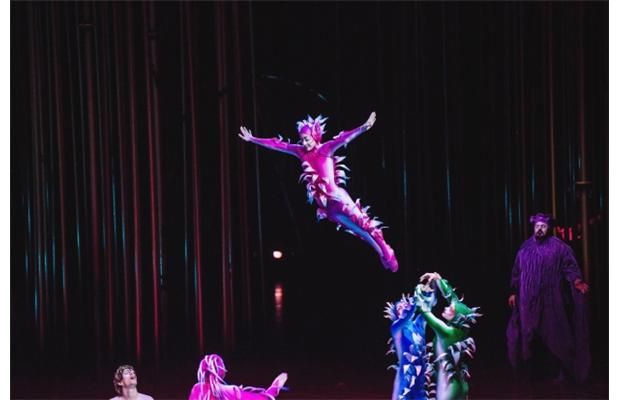 Theatre preview: Cirque du Soleil’s Varekai tumbles into town ...