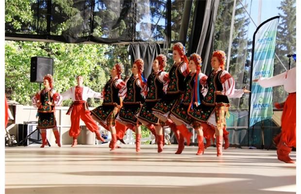 Six things to do in Edmonton this weekend | Edmonton Journal