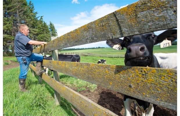 Insurance payouts to drought-hit farmers will likely near $1 billion ...