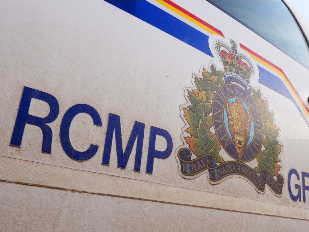 Fort Saskatchewan RCMP investigate after mutilated cat found on trail ...