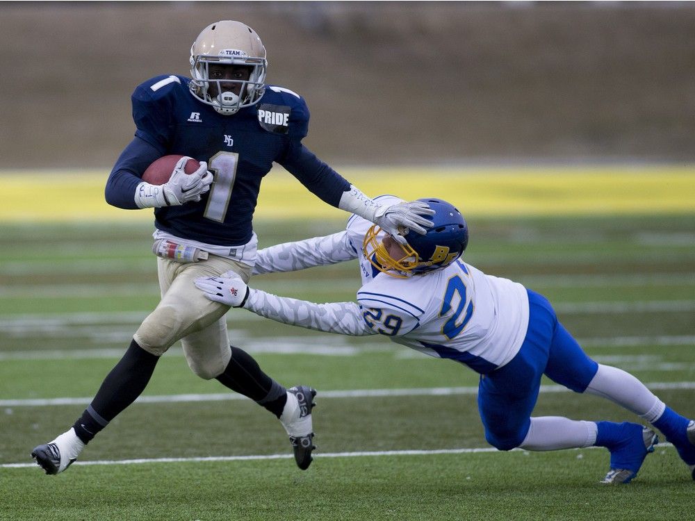 Bev Facey Falcons lose to Notre Dame Pride in Tier 1 Alberta semifinal ...