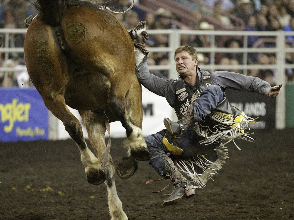 Airdrie's Jake Vold becomes Canada's bareback champion at Canadian ...