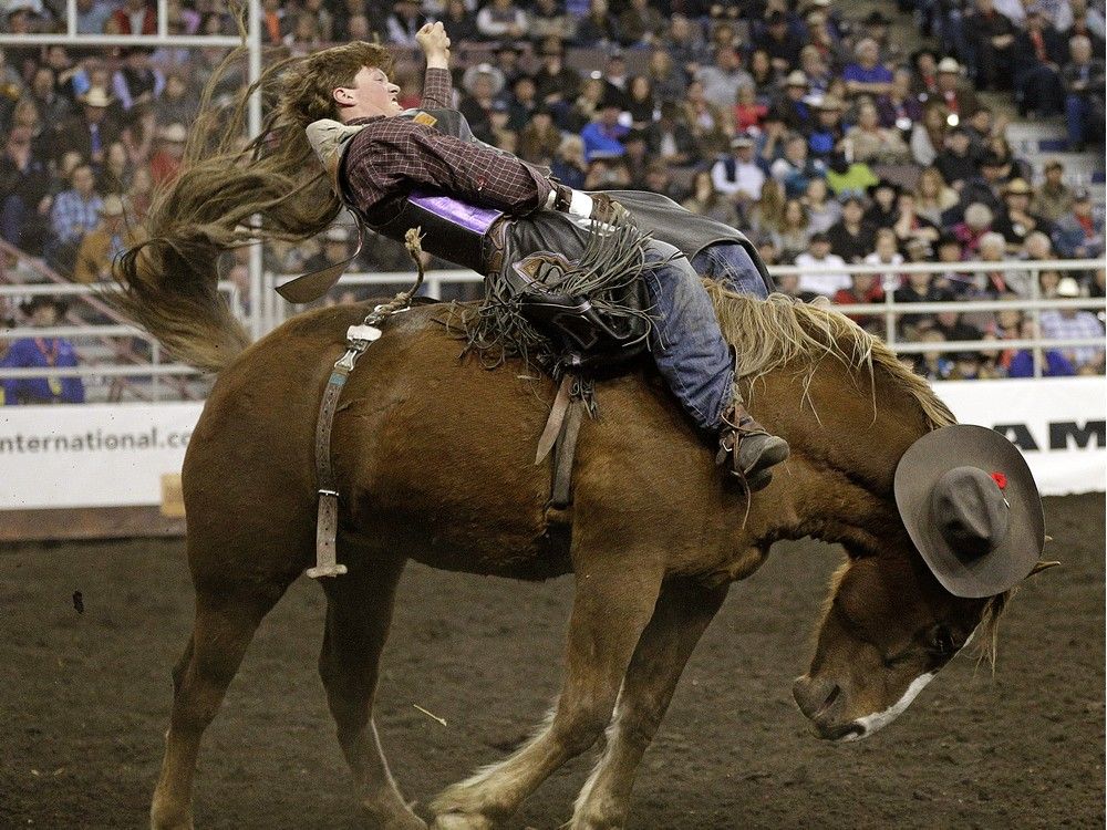 Airdrie's Jake Vold becomes Canada's bareback champion at Canadian ...