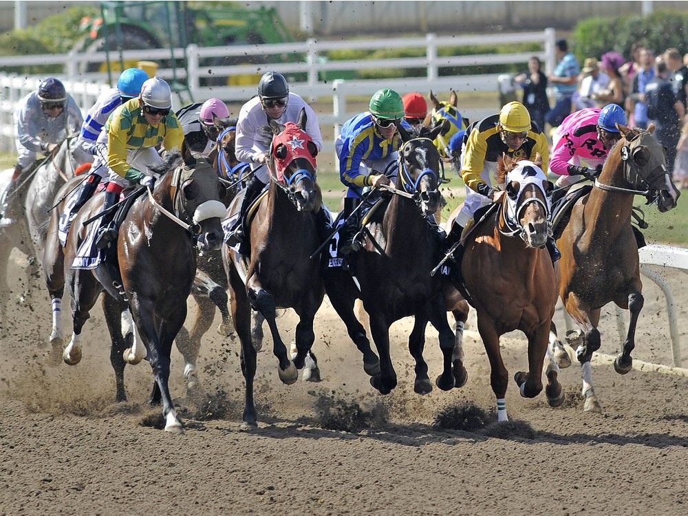 Horse racing to continue at Northlands until 2018 | Edmonton Journal