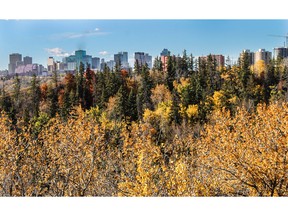 Neighbourhood Spotlight: Highlands - Vibrant community rose from humble ...