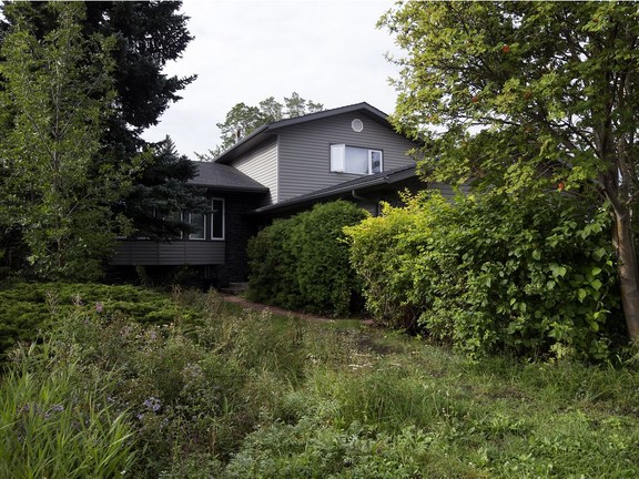 Naturalized lawn or weeds gone wild? City looks at landscaping debate ...