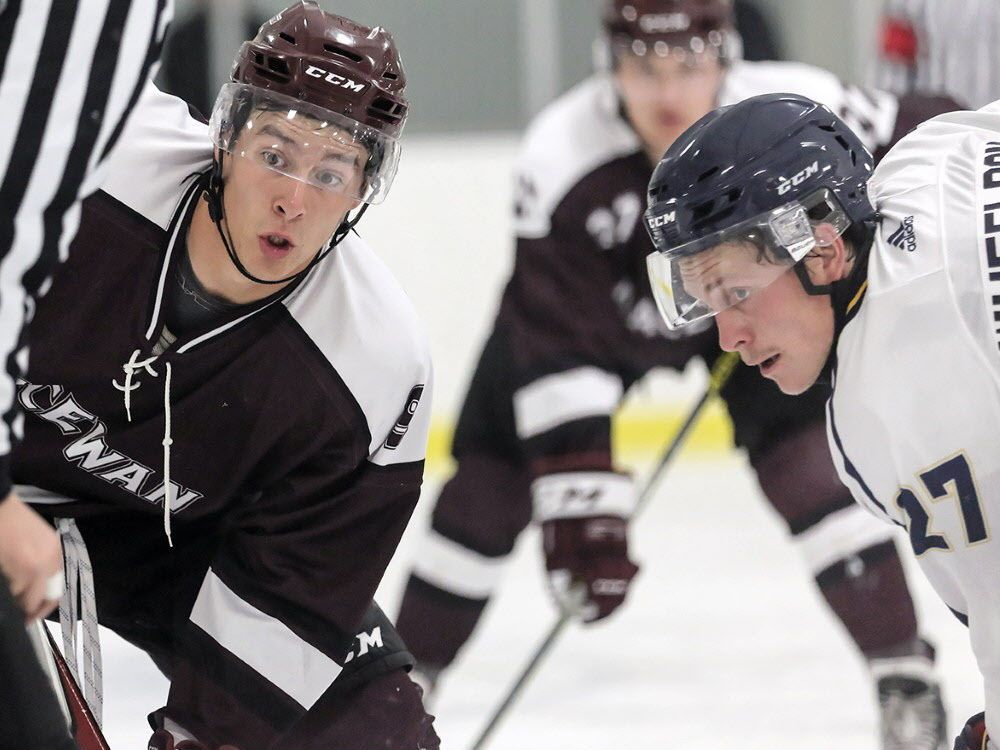 MacEwan Griffins get new home in downtown community arena | Edmonton ...