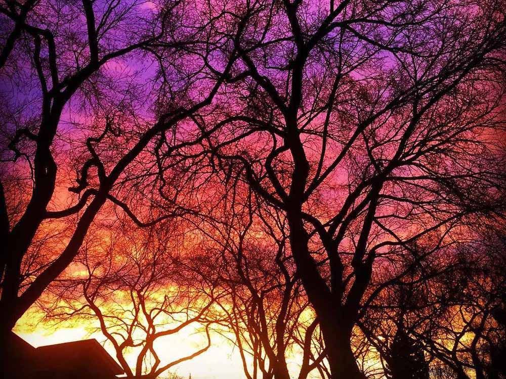 Pretty in pink: Edmonton skies glow with spectacular sunrise | Edmonton ...