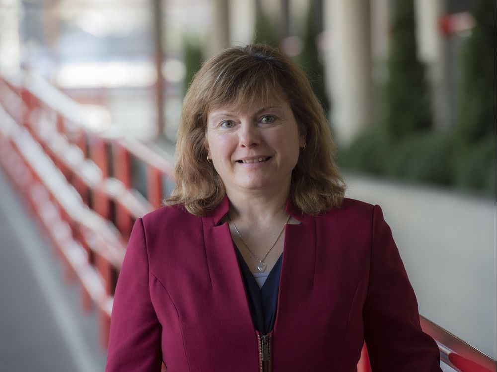 Government to announce new high school for south Edmonton | Edmonton ...