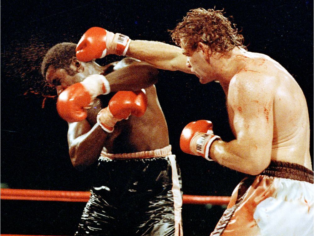 Former heavyweight champ Willie deWit one of four new judges in Alberta ...