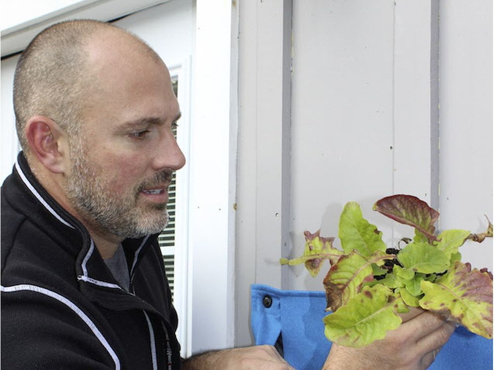 Seeing green: Carson Arthur approaches gardening as outdoor investment ...