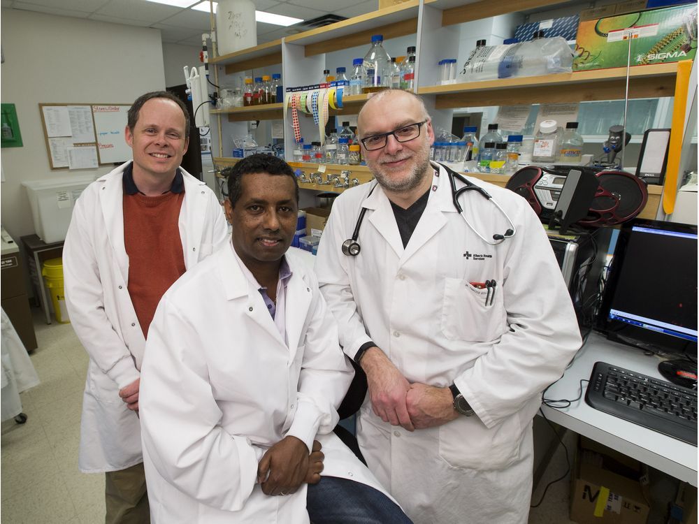 University of Alberta study sheds light on defect behind multiple ...