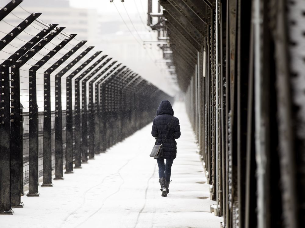 More snow on the way for Edmonton | Edmonton Journal