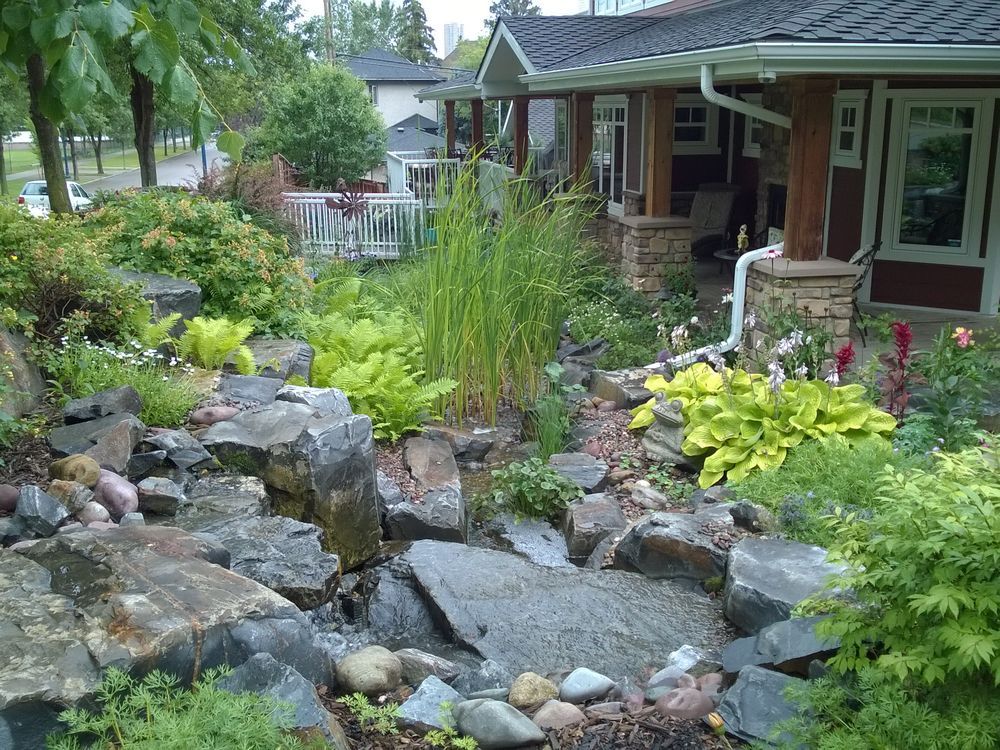 Wondrous waterscapes: Parade of Ponds Tour aims to inspire visitors ...