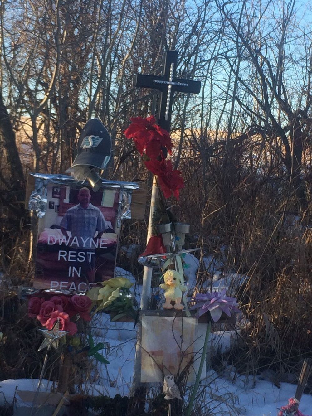 American accused in 2015 murder of an Edmonton man seeks bail ...