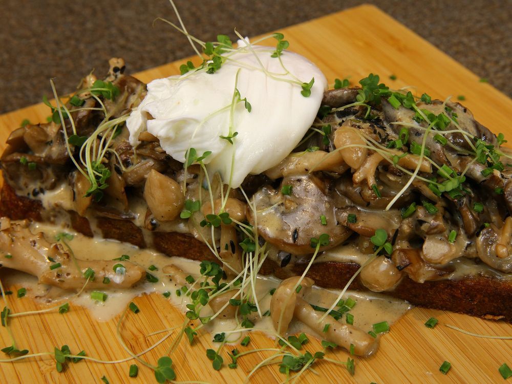 Rooster Cafe's mushroom toast should have you crowing | Edmonton Journal