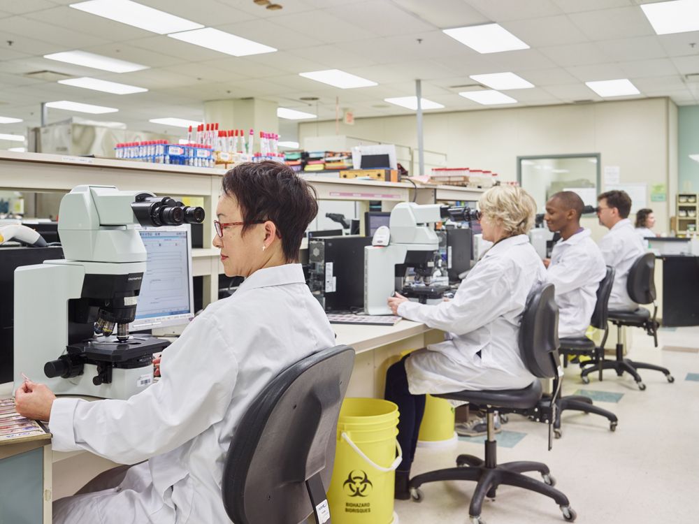 DynaLIFE: The gentle giant of healthcare and award-winning employer ...