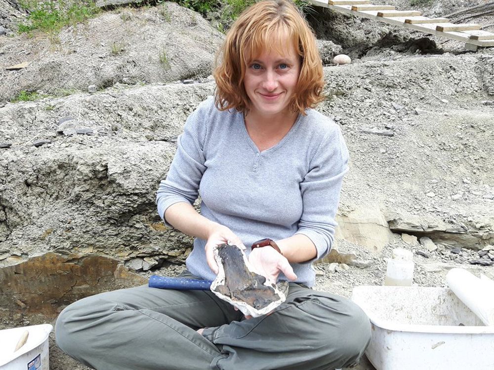 Sponsored Content: ‘Paleontologist for a Day’ program gives dino-lovers ...