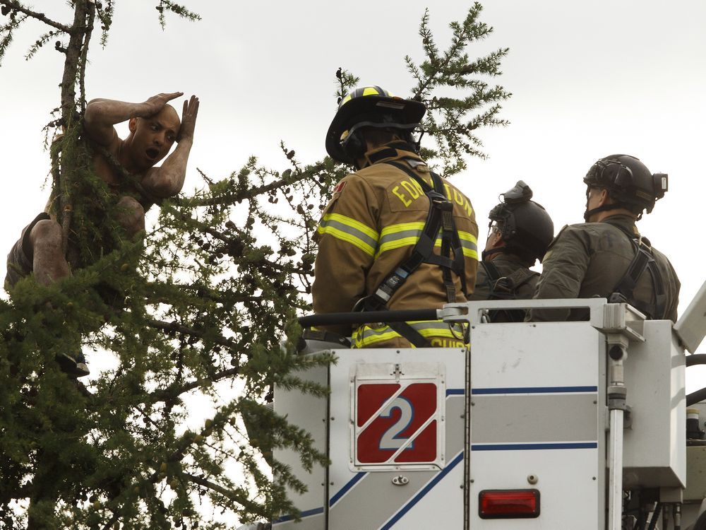 Roads closed as firefighters rescue man from tree | Edmonton Journal