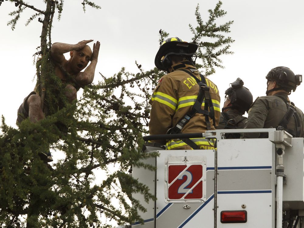 Video: Man rescued from tree by Edmonton police and firefighters ...