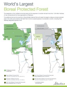 Alberta creates world's largest protected boreal forest | Edmonton Journal