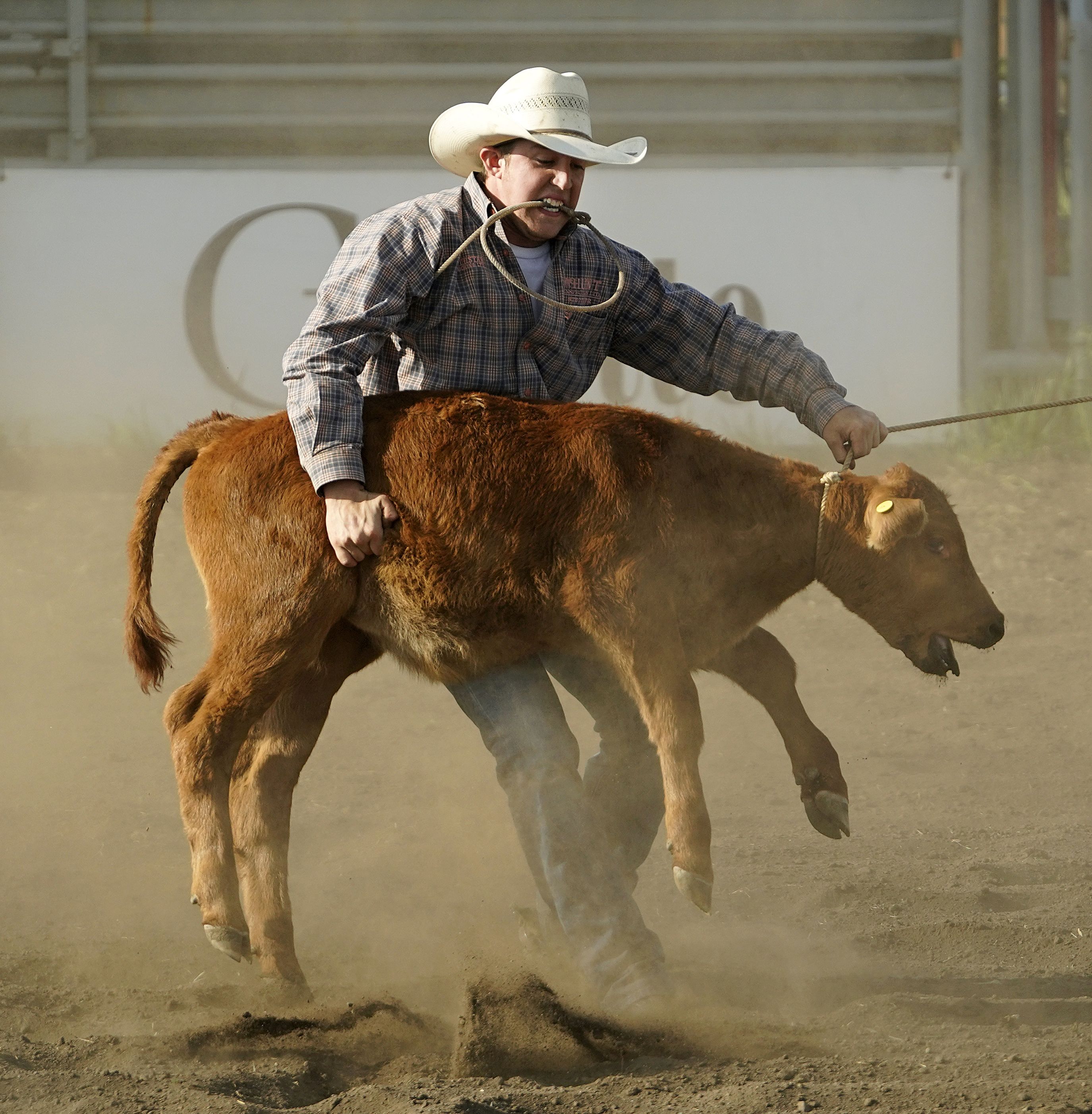PHOTOS: 2018 St. Albert Rainmaker Rodeo | Edmonton Journal