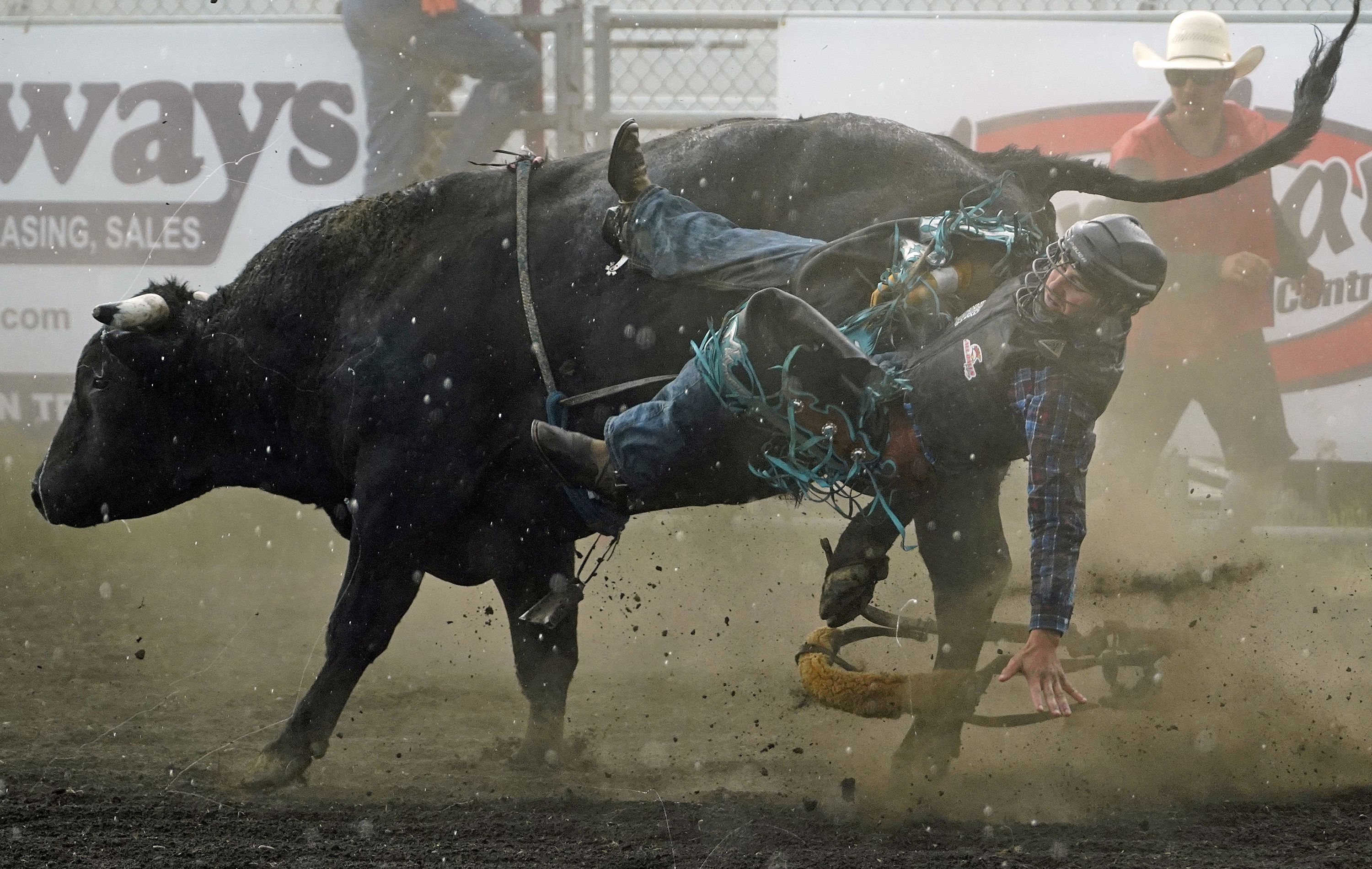 PHOTOS: 2018 St. Albert Rainmaker Rodeo | Edmonton Journal