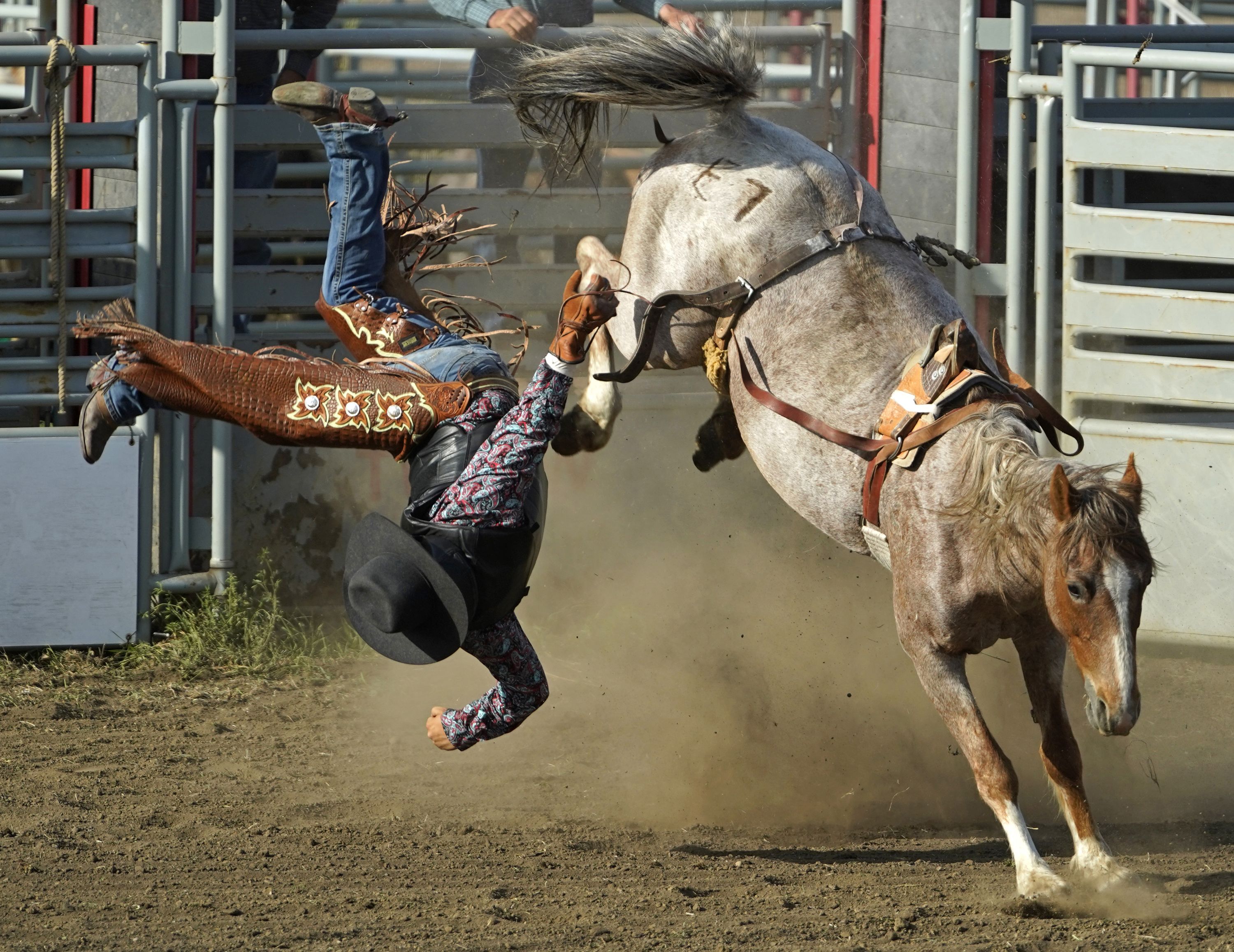 PHOTOS: 2018 St. Albert Rainmaker Rodeo | Edmonton Journal