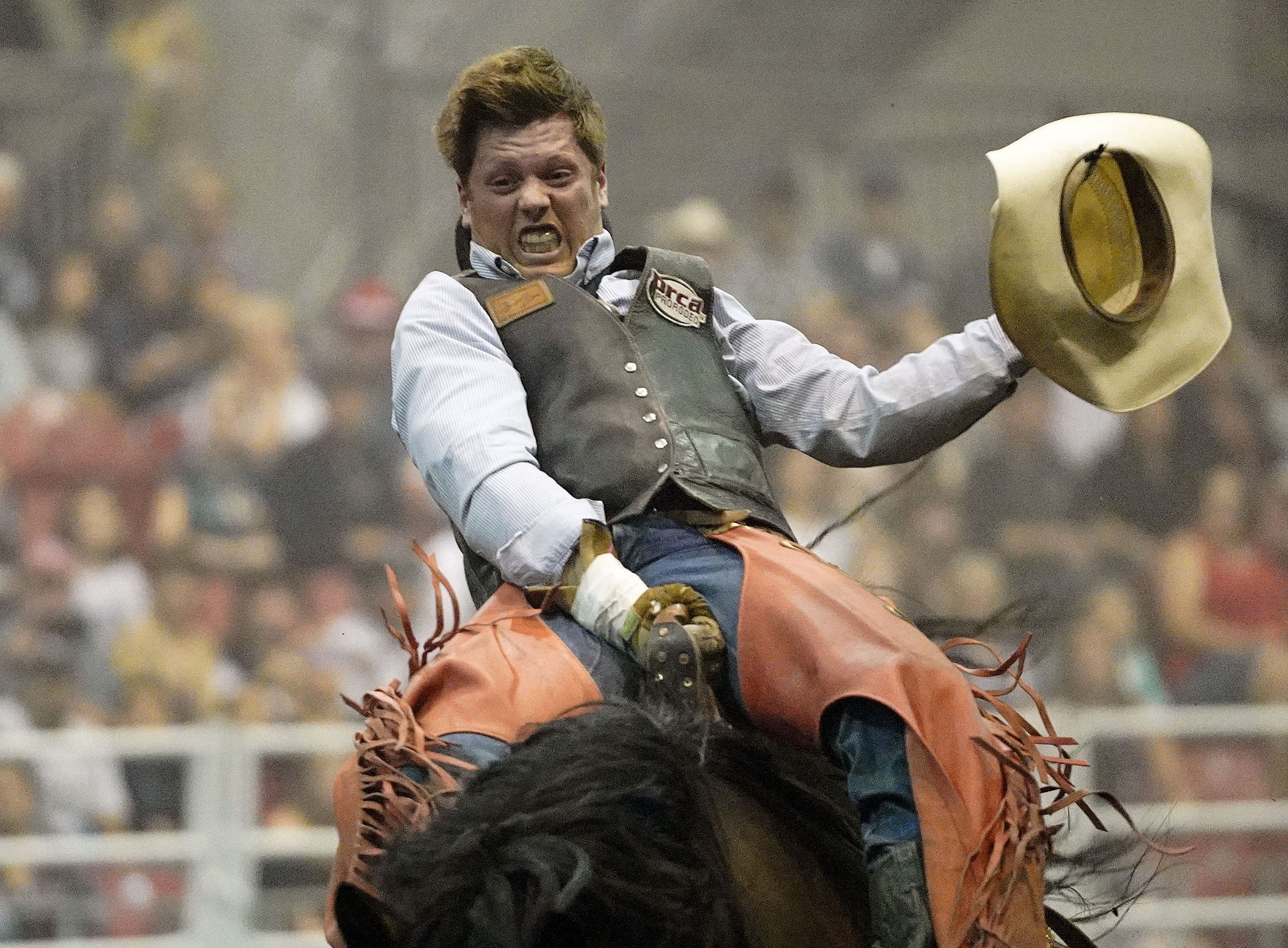 PHOTOS: Wild Rides at K-Days Rodeo | Edmonton Journal