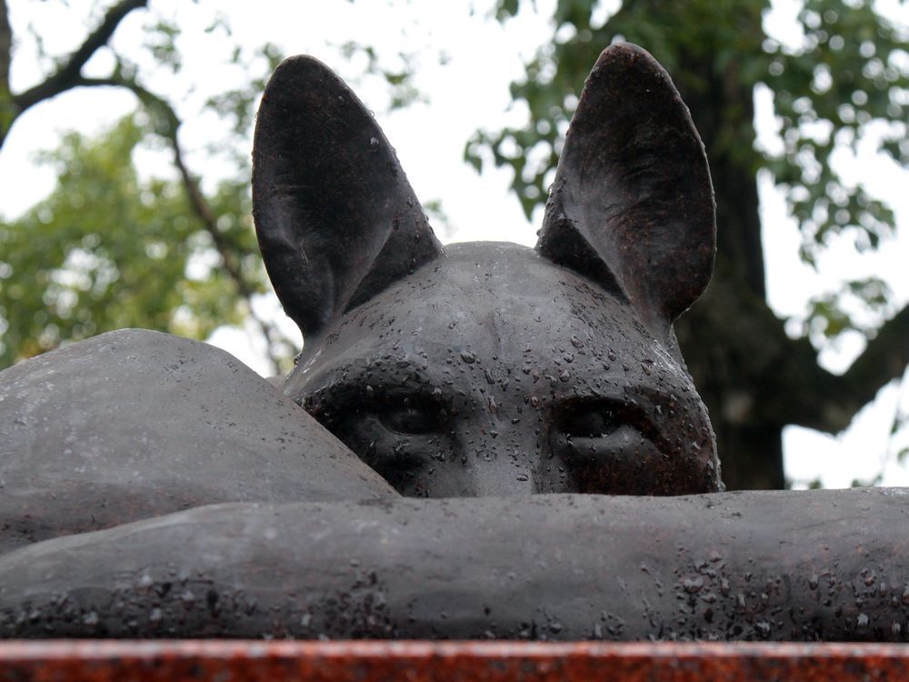 Wildlife: ᐄᓃᐤ (ÎNÎW) River Lot 11∞ Indigenous Art Park transforms the ...