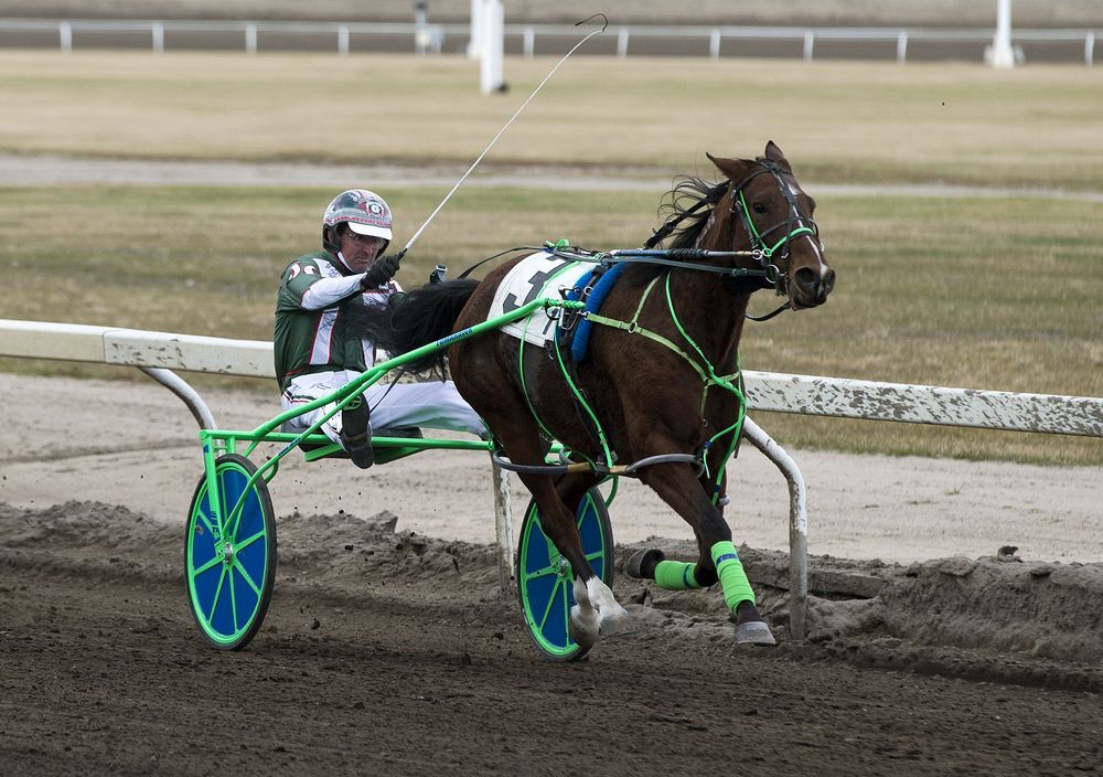Last call: Matt Jukich says goodbye to iconic Northlands Racetrack ...
