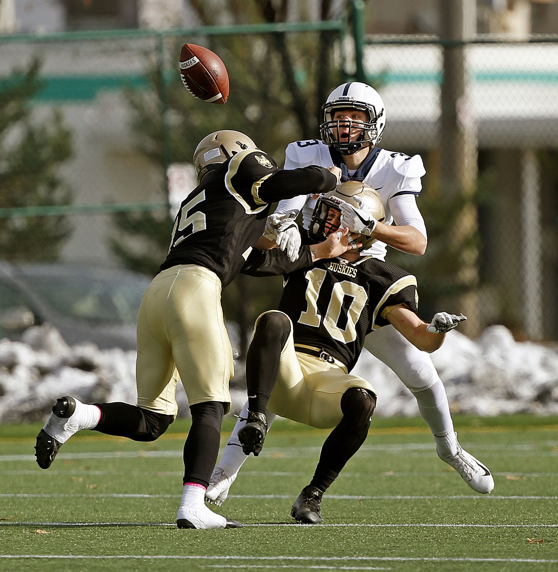 PHOTOS: Edmonton Huskies Defeat Edmonton Wildcats 42-17 | Edmonton Journal