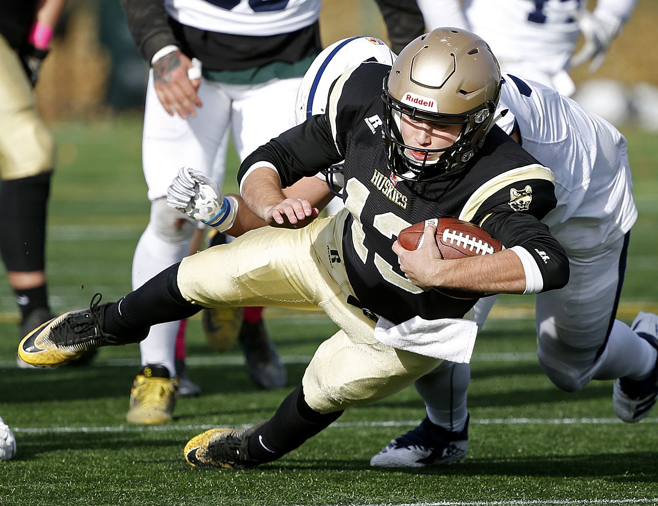 PHOTOS: Edmonton Huskies Defeat Edmonton Wildcats 42-17 | Edmonton Journal