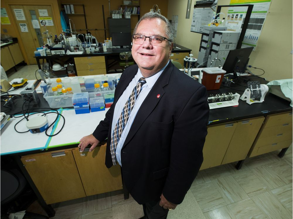 From farms to labs: Food innovation expert says lab-grown meat products ...