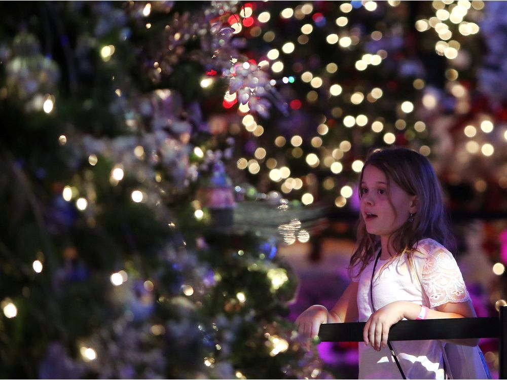Edmonton's festival of trees cancelled amid COVID-19 pandemic ...