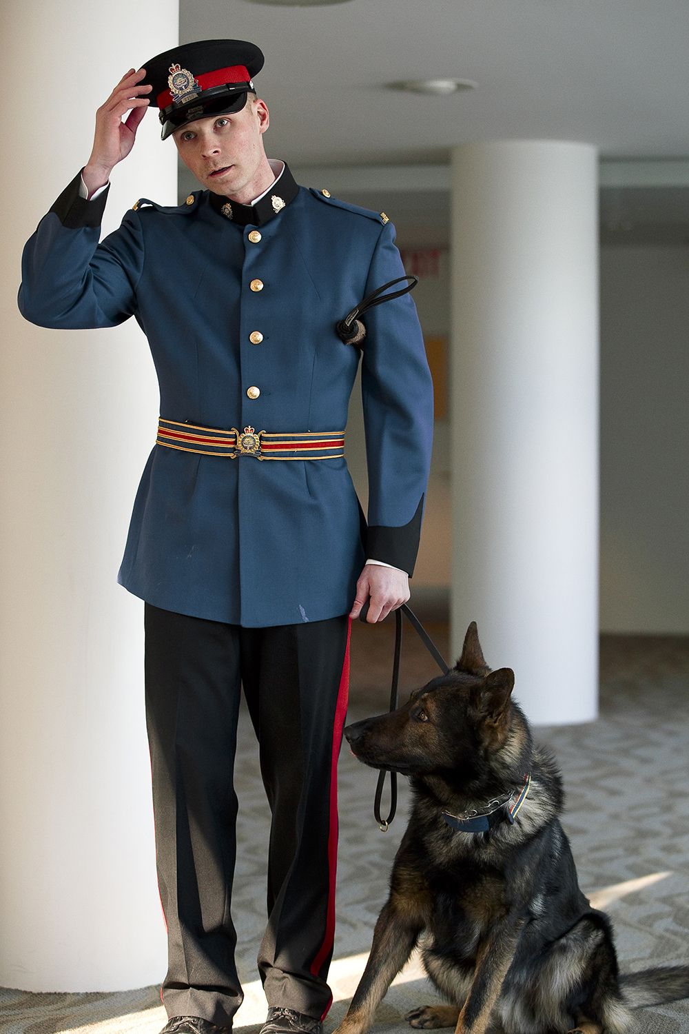 GALLERY: Police Service Dog Jackal | Edmonton Journal